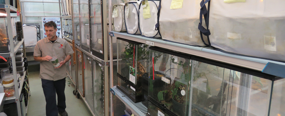 Backstage at the Insectarium: not your average spot! | Blog | Space for ...