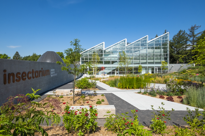 Gallery imitating the habitat of an insect at the Insectarium | Blog ...