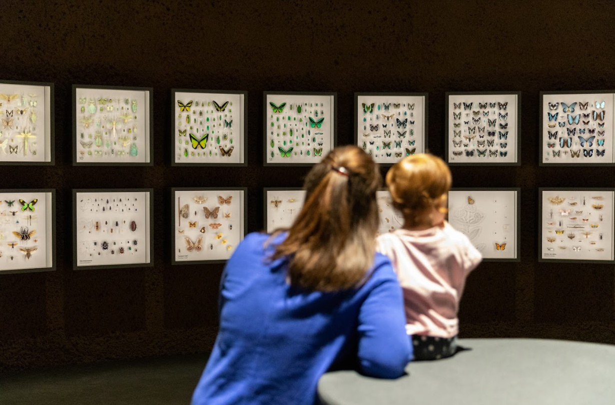 Insectarium | Space for life