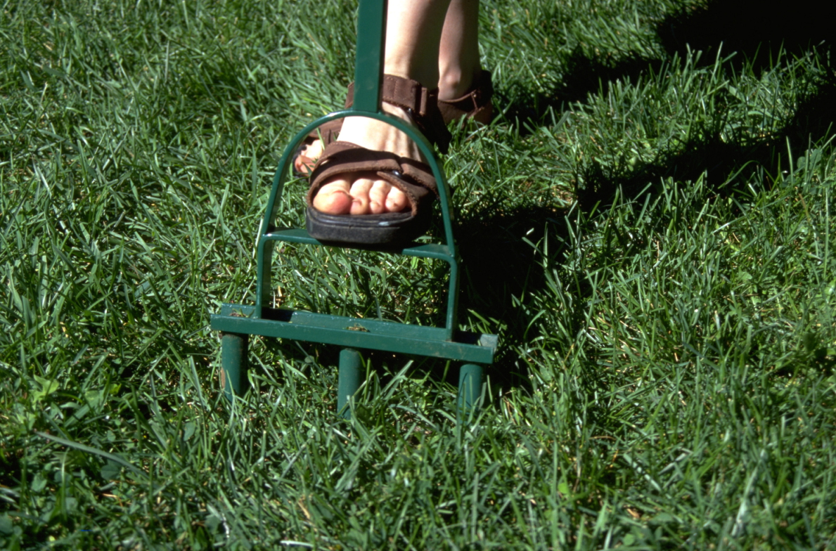 Qu’est-ce que le chaume? | Espace pour la vie