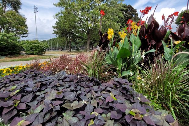 Jardin au Parc Beaubien | Space for life