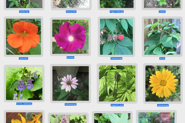 Wáhta, jardins des érables (ou Jardins Wáhta) | Espace pour la vie