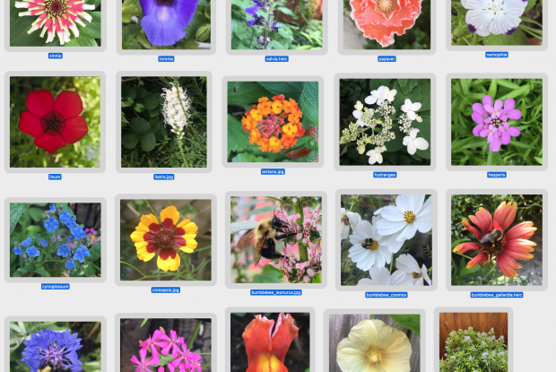 Wáhta, jardins des érables (ou Jardins Wáhta) | Espace pour la vie