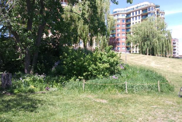 Parc Monseigneur J-A Richard | Space for life